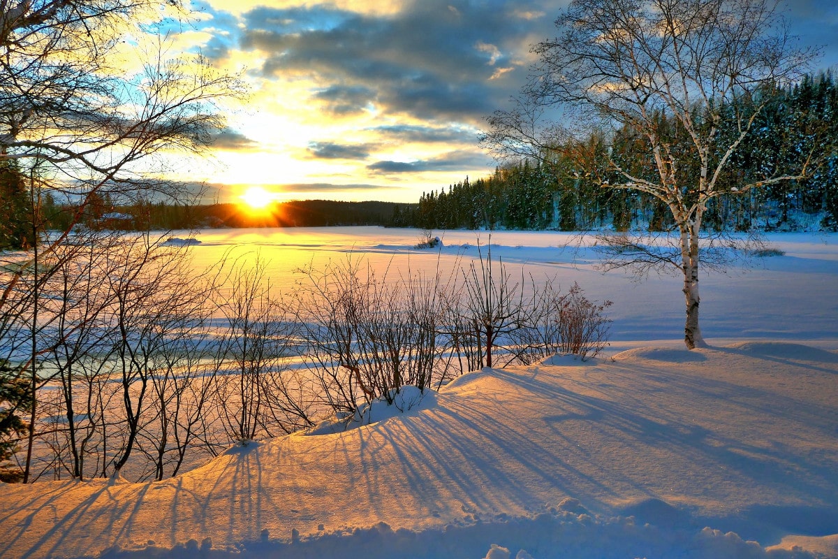 Real Estate Investment Funds with an LP Structure | Wright Business Law